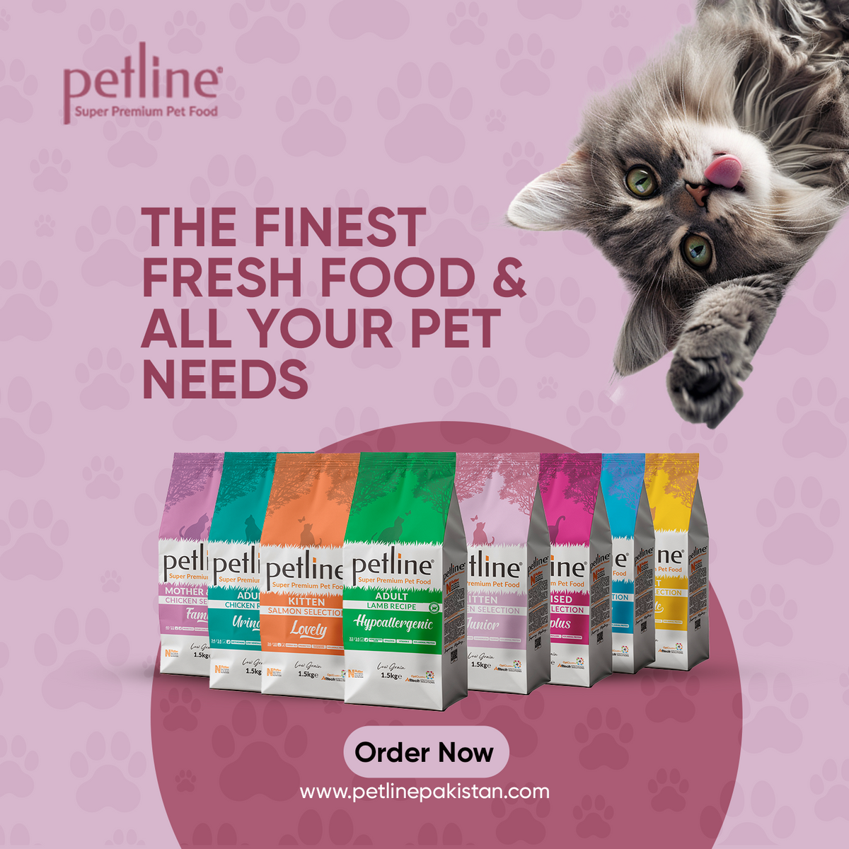 CAT DRY FOOD – Petline Pakistan